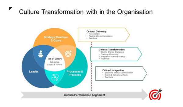Navigating Cultural Transformation: Strategies for Success